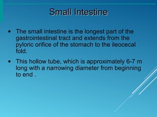 Digestion anatomy | PPT