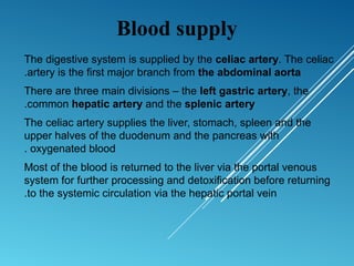 Digestion anatomy | PPT