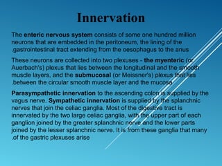 Digestion anatomy | PPT