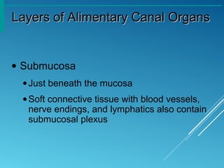 Digestion anatomy | PPT