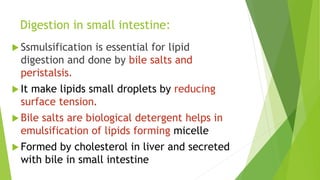 digestion and absorbation of lipids.pptx