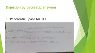 digestion and absorbation of lipids.pptx