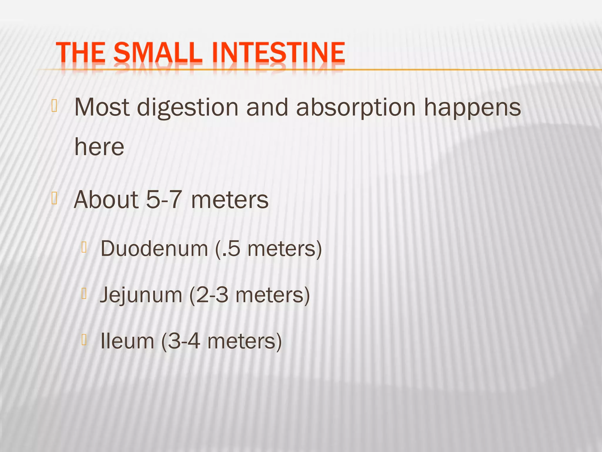 Digestion and absorption | PPT