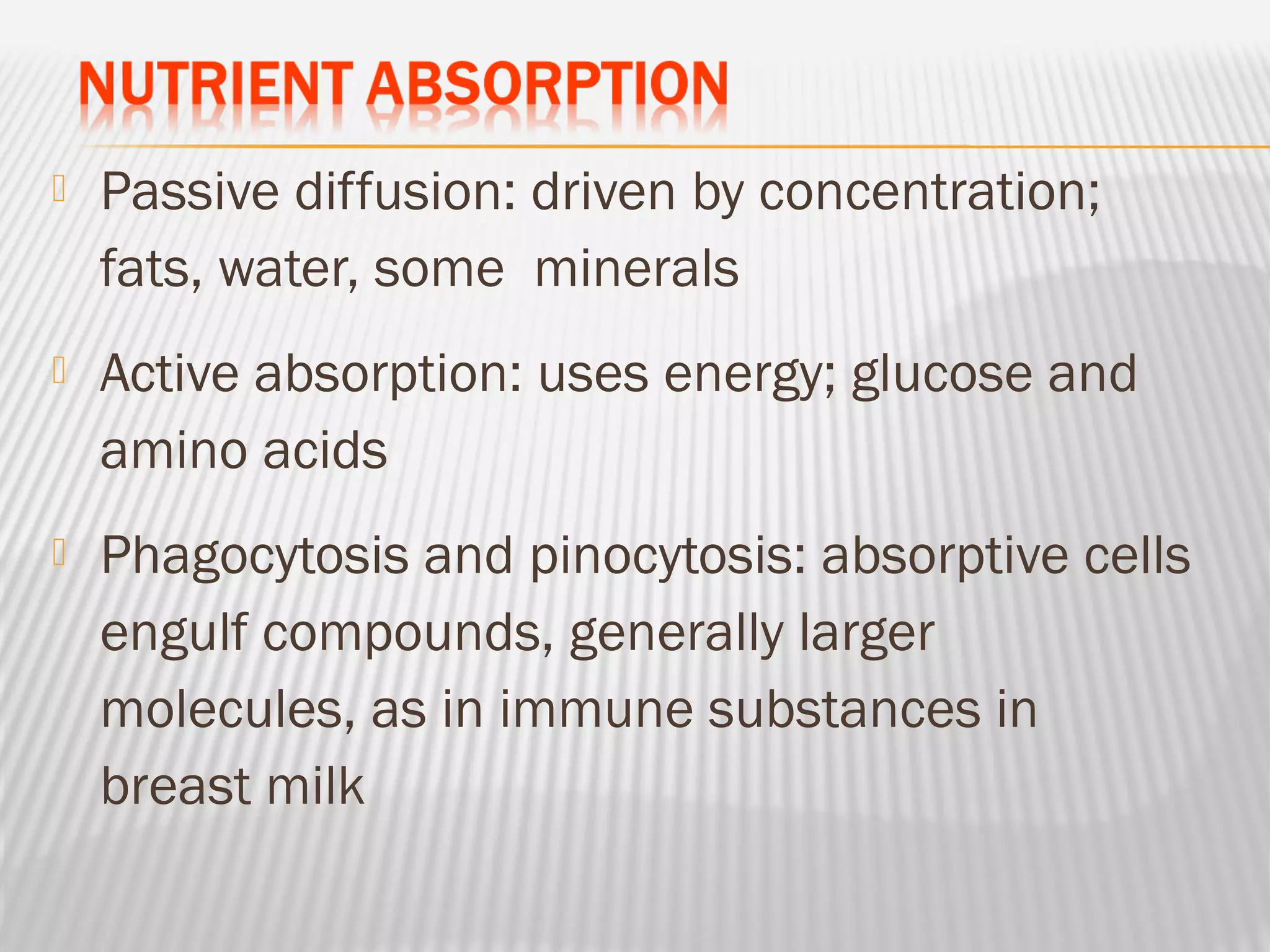 Digestion and absorption | PPT