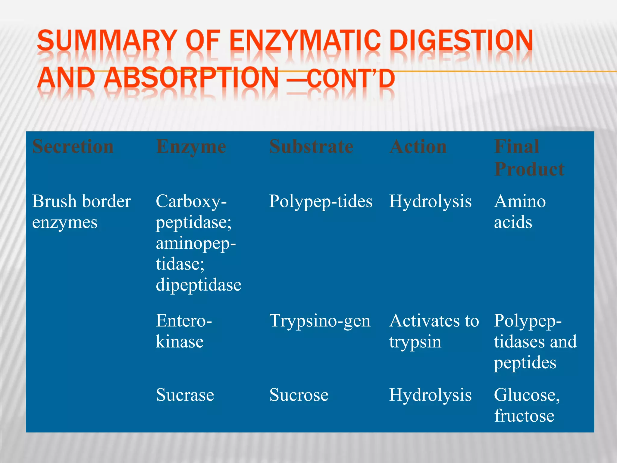 Digestion and absorption | PPT | Digestive Disorders | Diseases and ...
