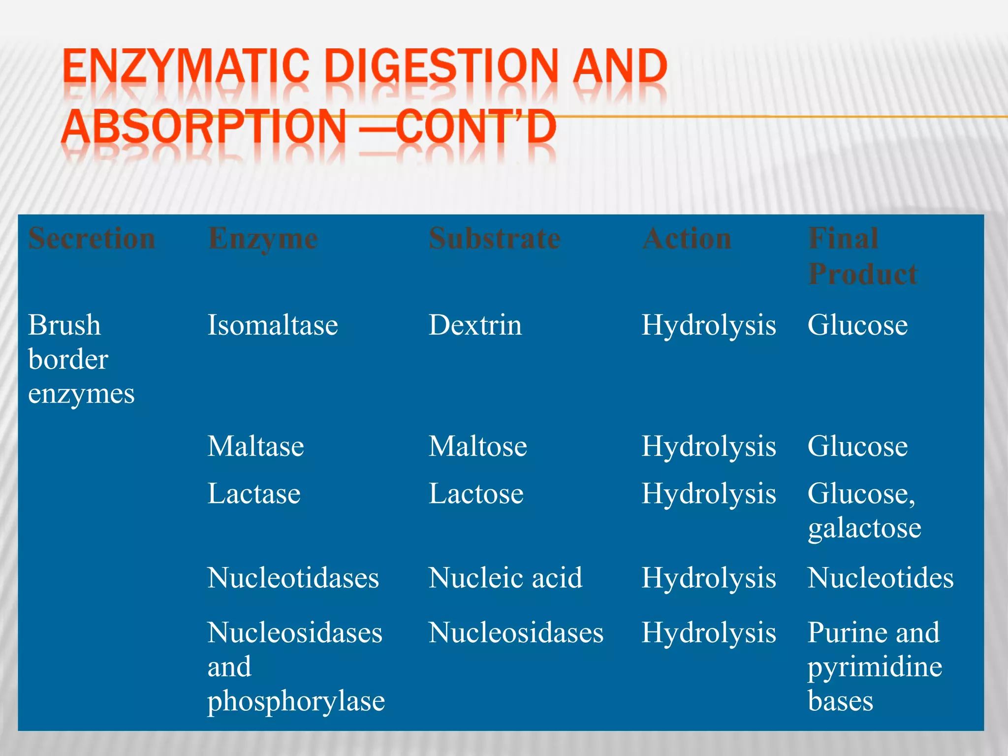 Digestion and absorption | PPT | Digestive Disorders | Diseases and ...
