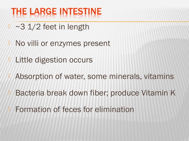 Digestion and absorption | PPT | Digestive Disorders | Diseases and ...