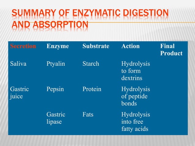 Digestion and absorption | PPT | Digestive Disorders | Diseases and ...