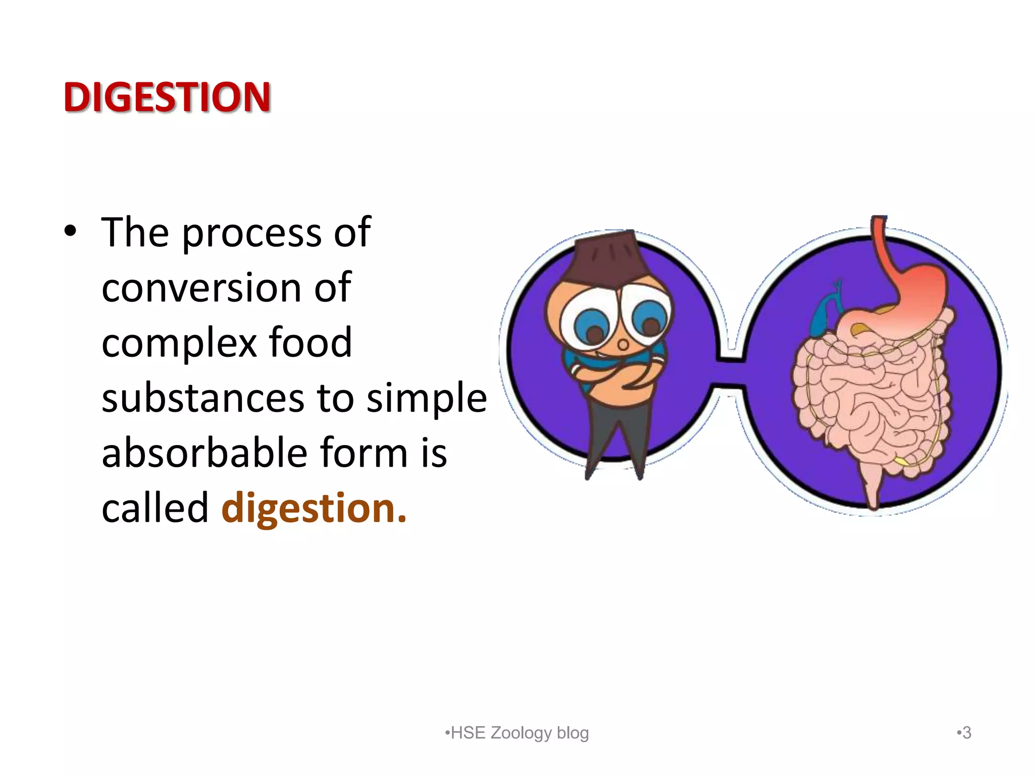 digestionandabsorption-141122205848-conversion-gate02.pdf
