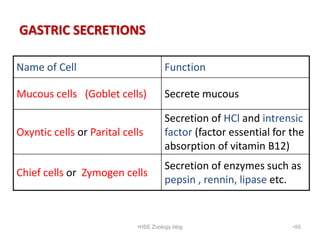 Digestion and absorption | PPSX