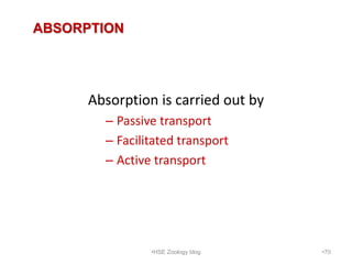 Digestion and absorption | PPSX