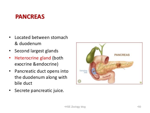 Digestion and absorption