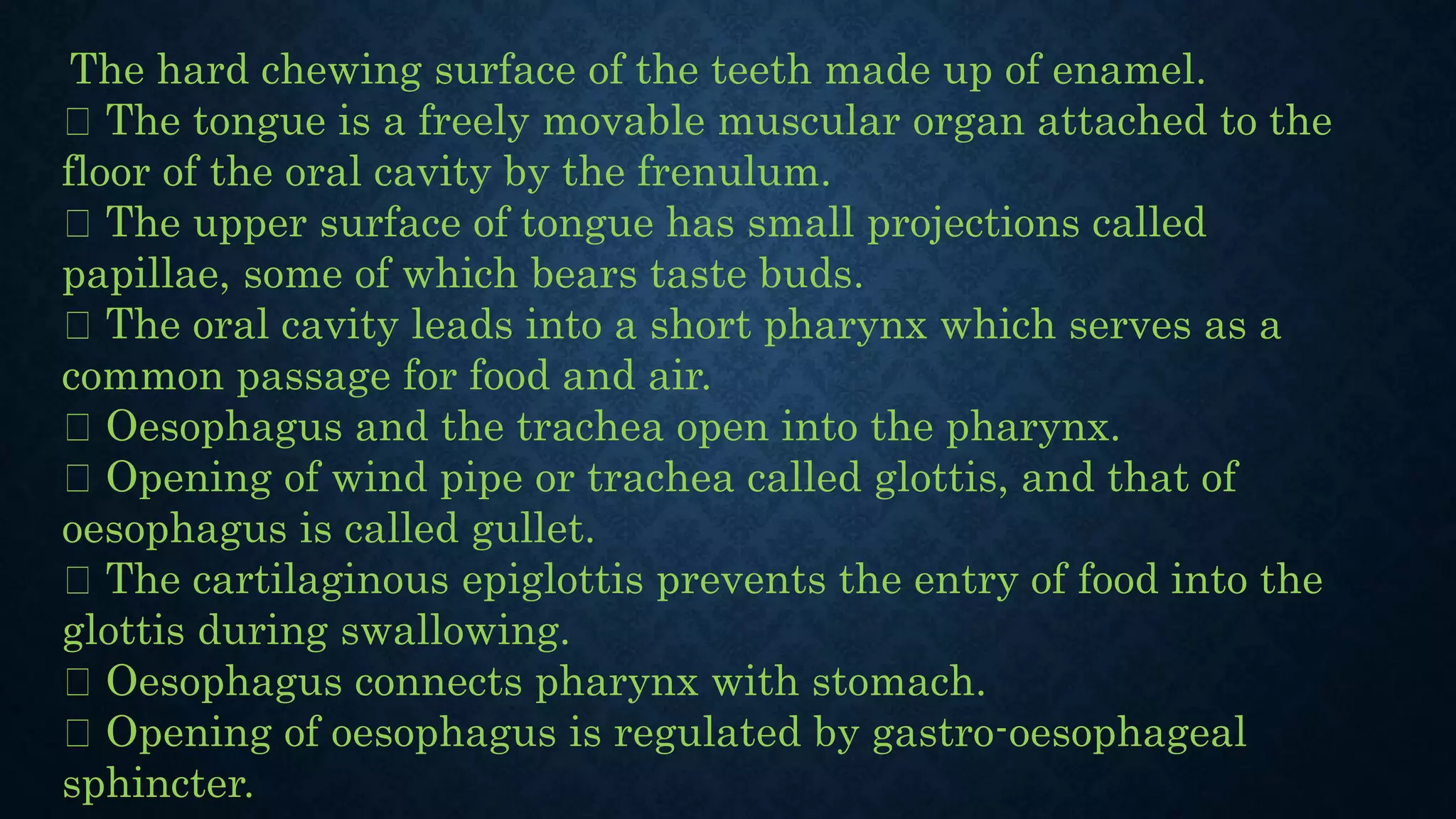 Digestion and absorption | PPTX