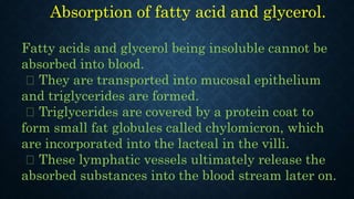 Digestion and absorption | PPTX