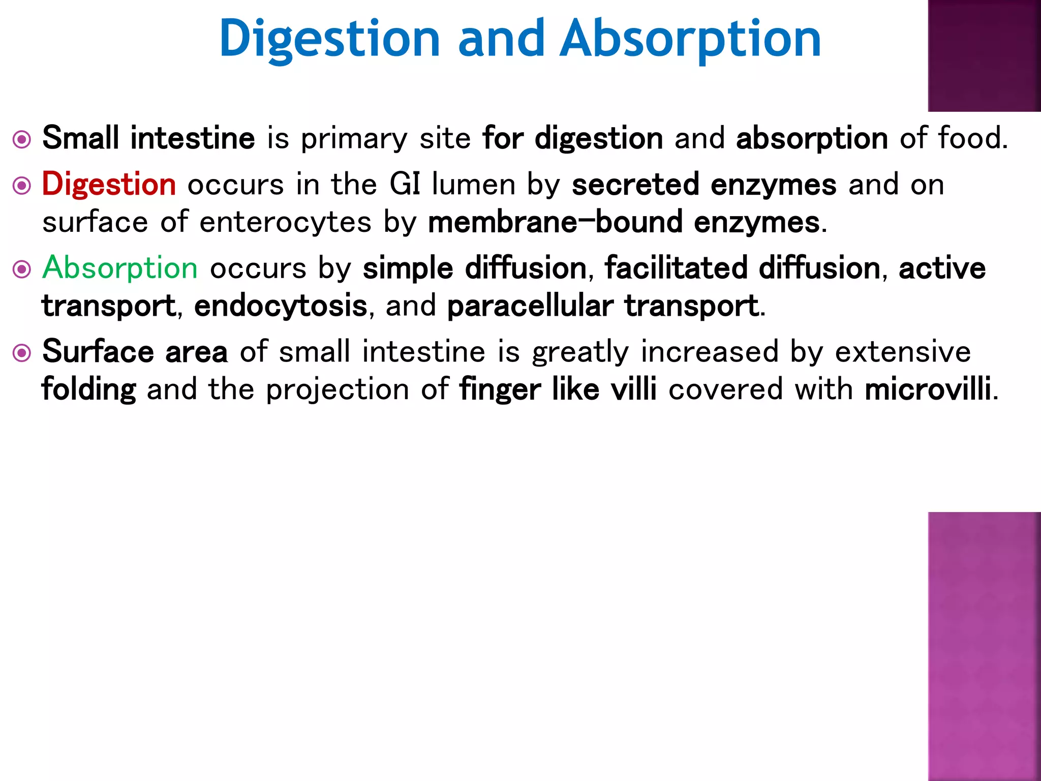 Digestion and absorption | PPT