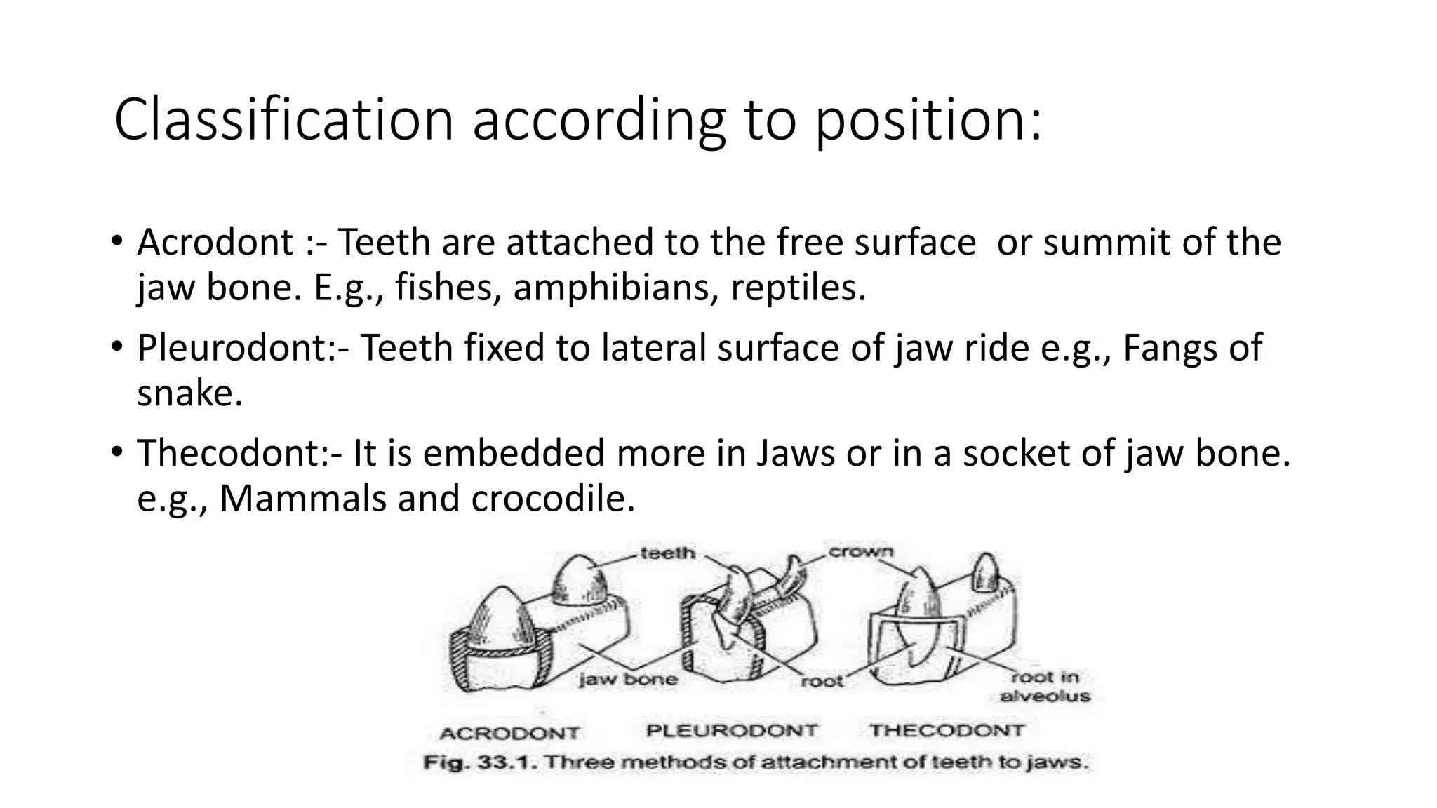 digestion and absorption.pptx | Digestive Disorders | Diseases and ...