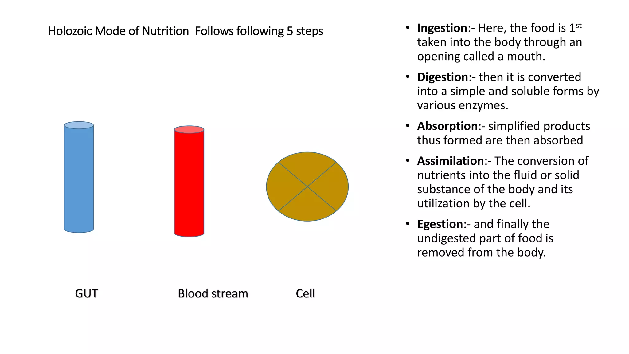 digestion and absorption.pptx | Digestive Disorders | Diseases and ...