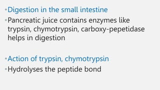 Digestion and absorption.pptx