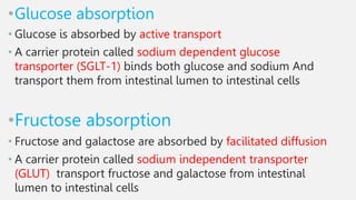 Digestion and absorption.pptx