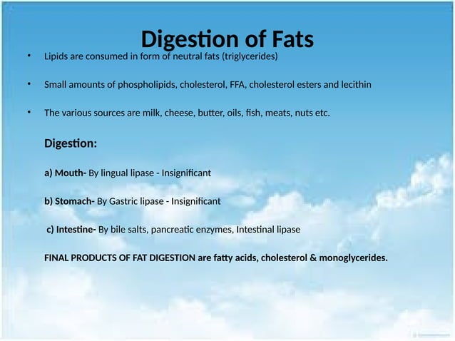 DIGESTION AND ABSORPTION.powerpoint presentation | PPT