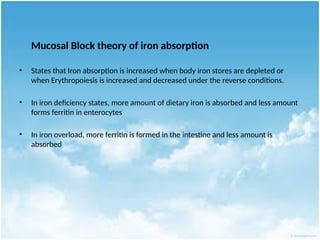 DIGESTION AND ABSORPTION.powerpoint presentation | PPTX