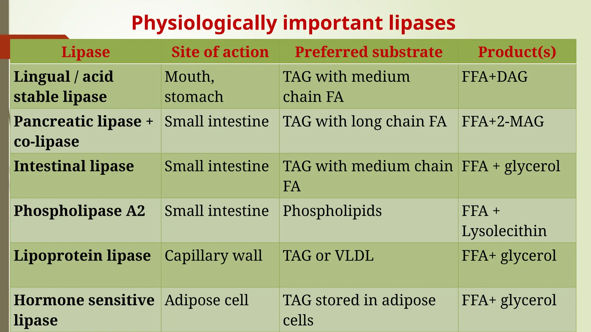Digestion and Absorption in human beings.pptx