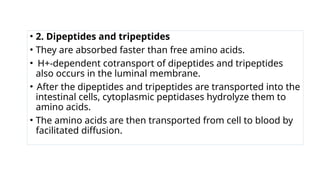 Digestion and absorption of Carbohydrates proteins and lipstick | PPTX