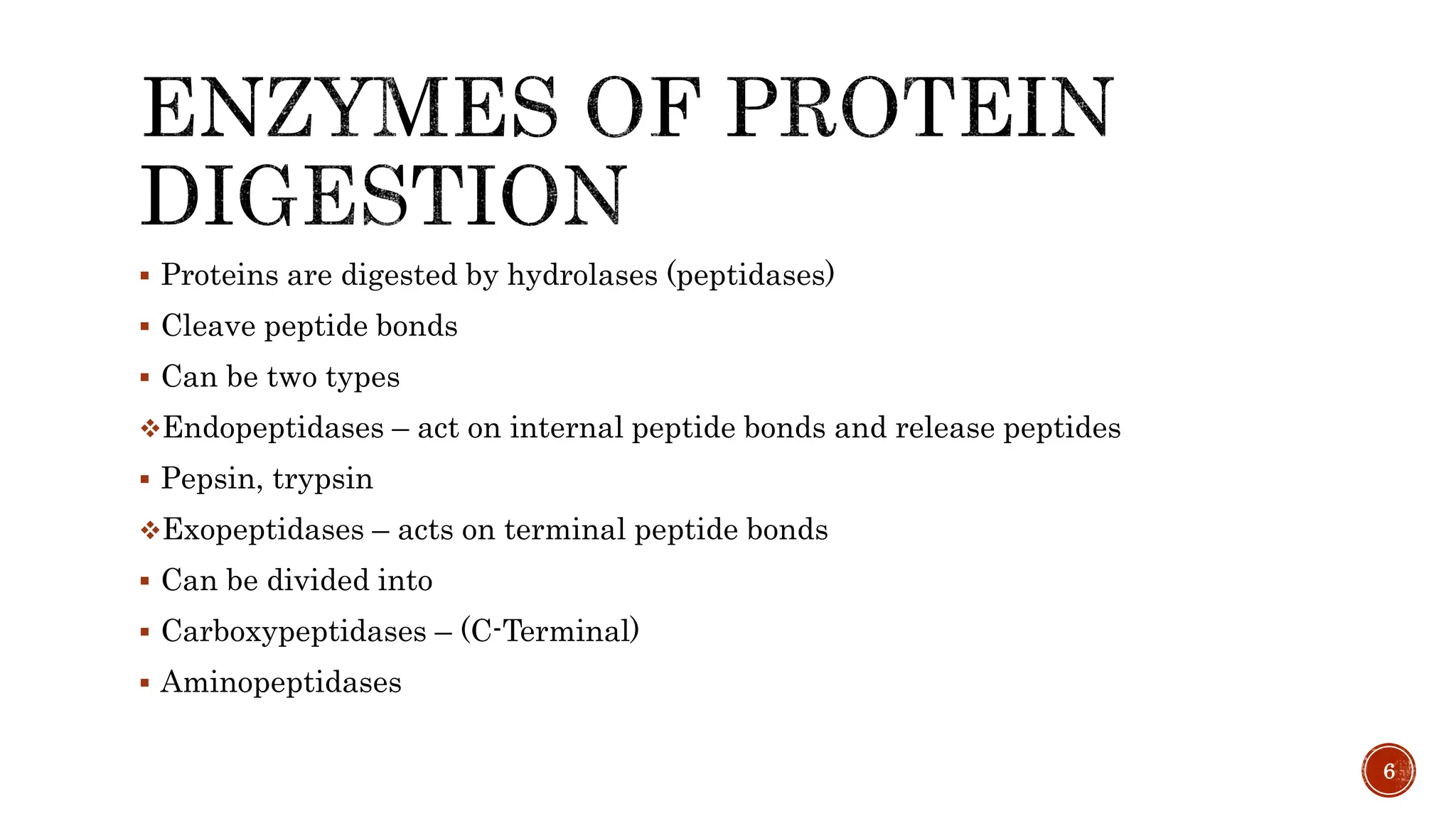 Digestion and Absorption of Proteins for Allied Health Sciences | PPTX