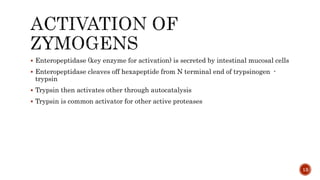 Digestion and Absorption of Proteins for Allied Health Sciences | PPTX