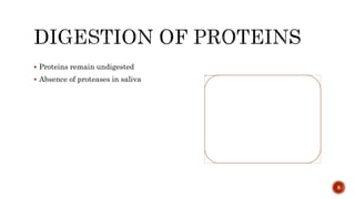 Digestion and Absorption of Proteins for Allied Health Sciences | PPT