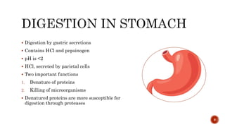 Digestion and Absorption of Proteins for Allied Health Sciences | PPTX