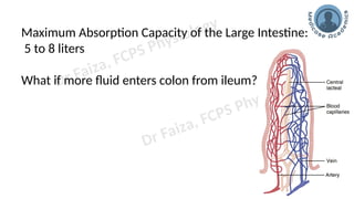 Digestion and Absorption in Gastrointestinal Tract | PPTX