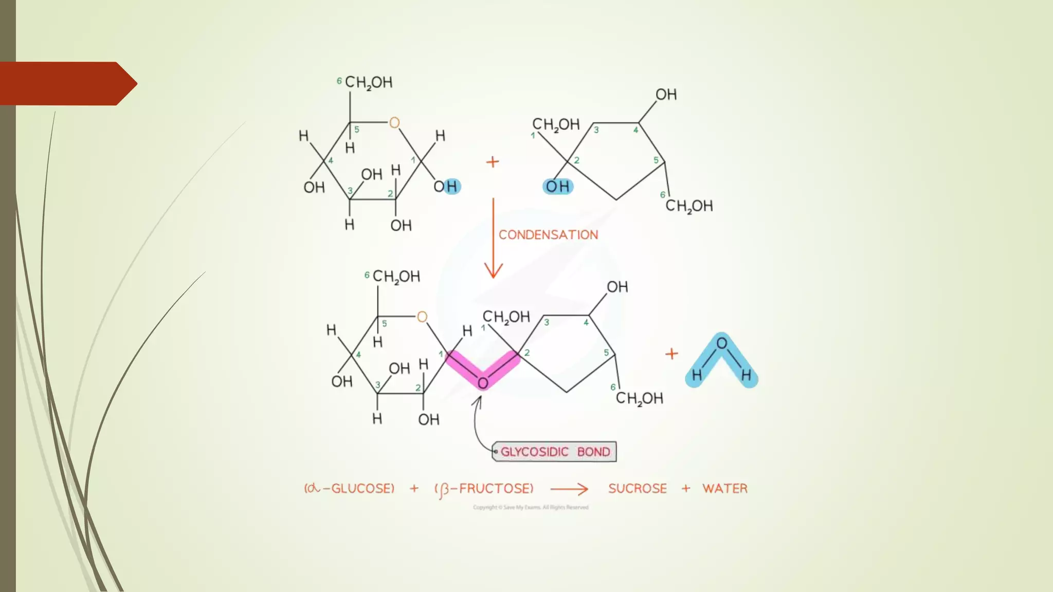 DIGESTION AND ABSORPTION IN THE GASTROINTESTINAL TRACT.pptx