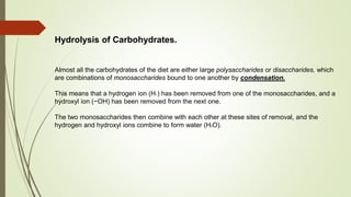 DIGESTION AND ABSORPTION IN THE GASTROINTESTINAL TRACT.pptx | Digestive ...