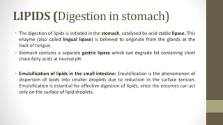 Digestion and Absorption of biomolecules.pptx