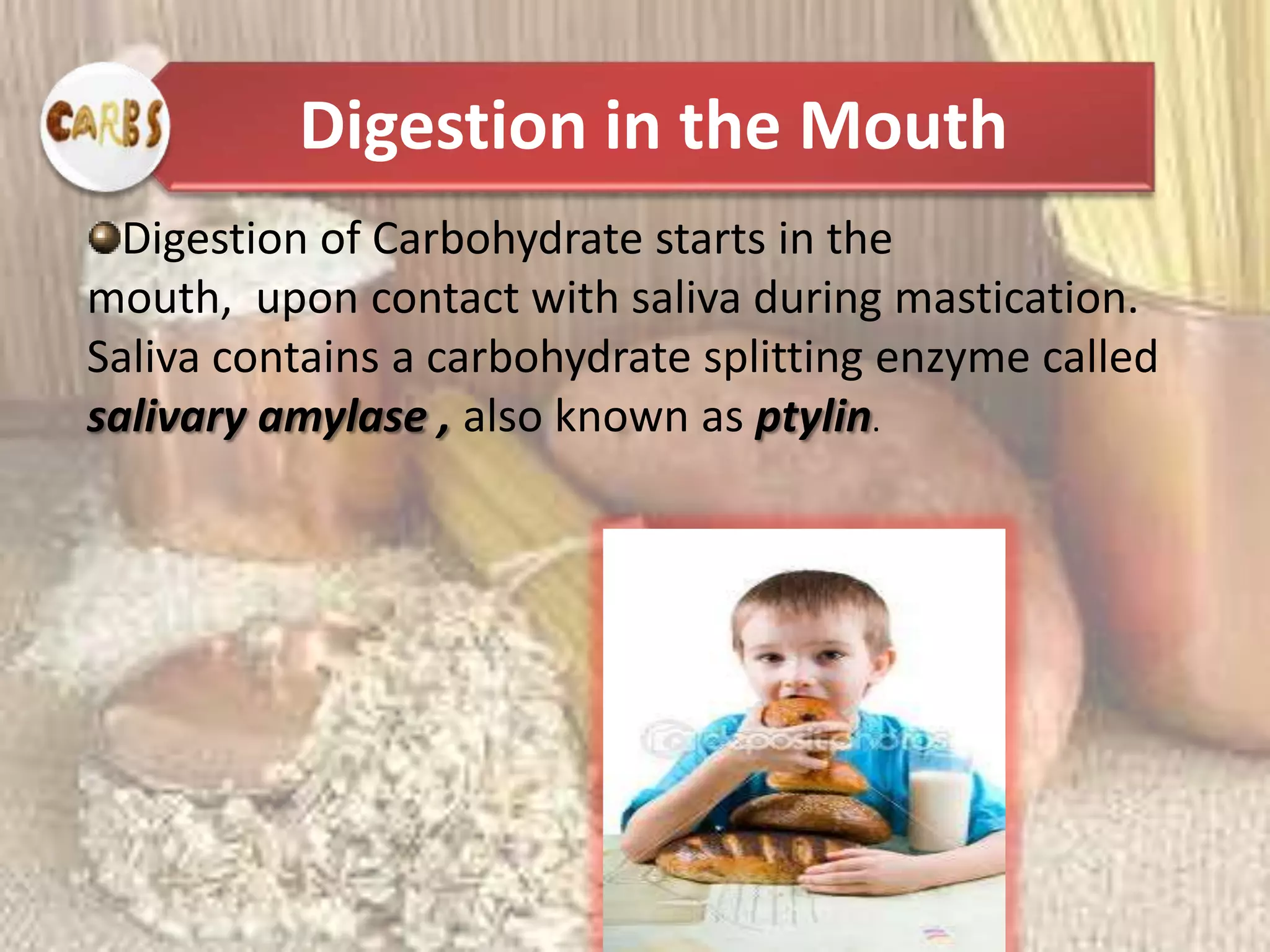 Digestion and absorption of carbohydrates | PPTX