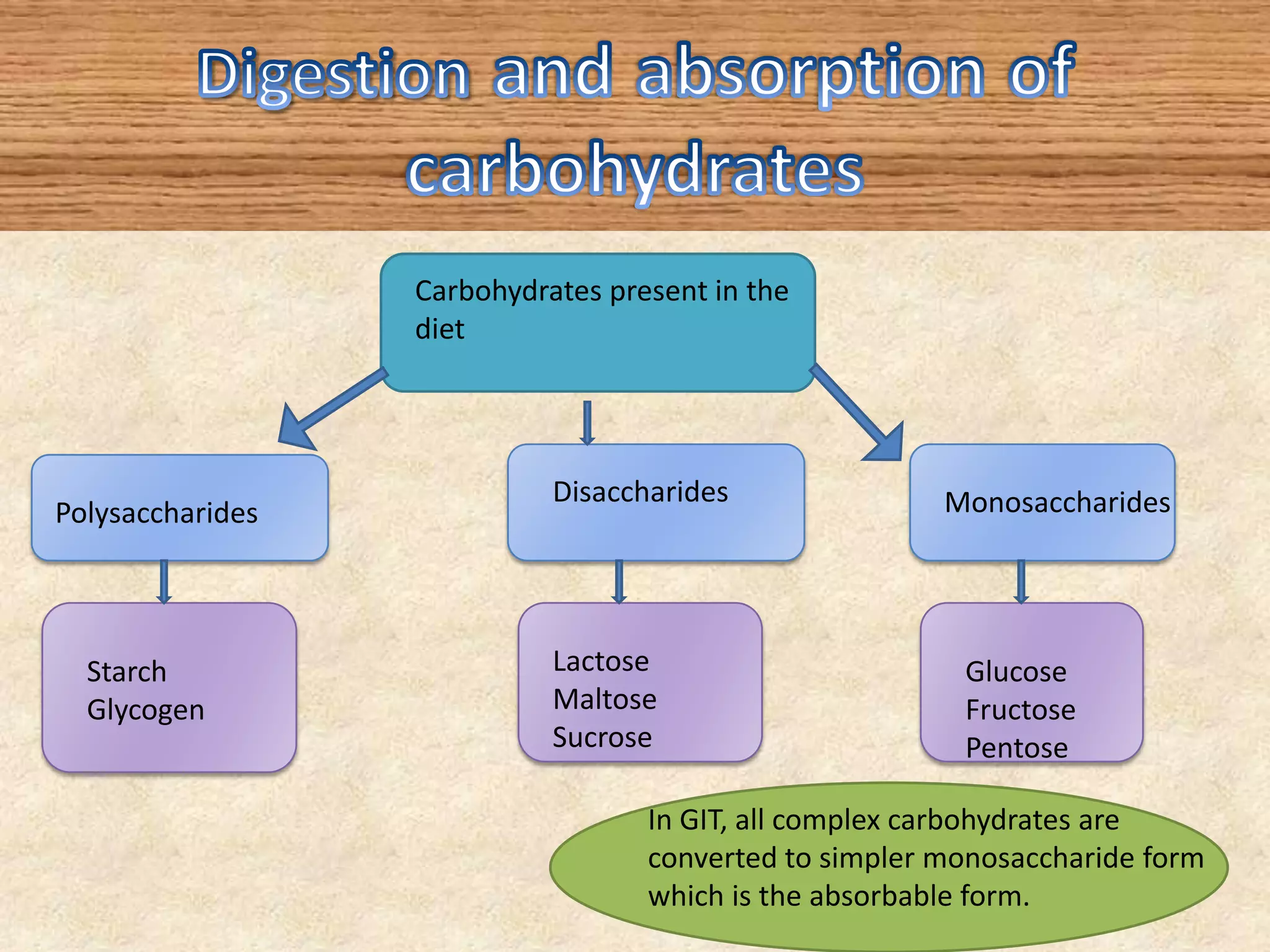 digestionandabsorptionofcarbohydrates-120714091201-phpapp01 (1).pdf