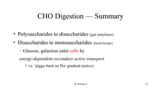 Digestion and absorption of carbohydrates for Medical School | PPT