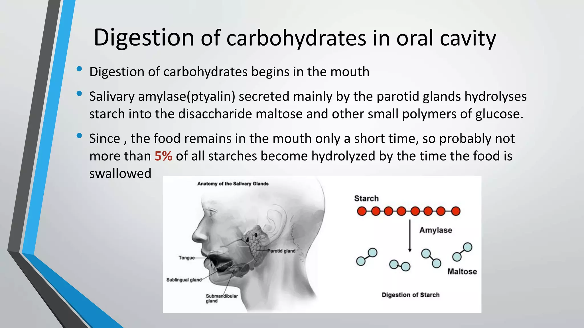 DIGESTION AND ABSORPTION OF CARBOHYDRATES.pptx