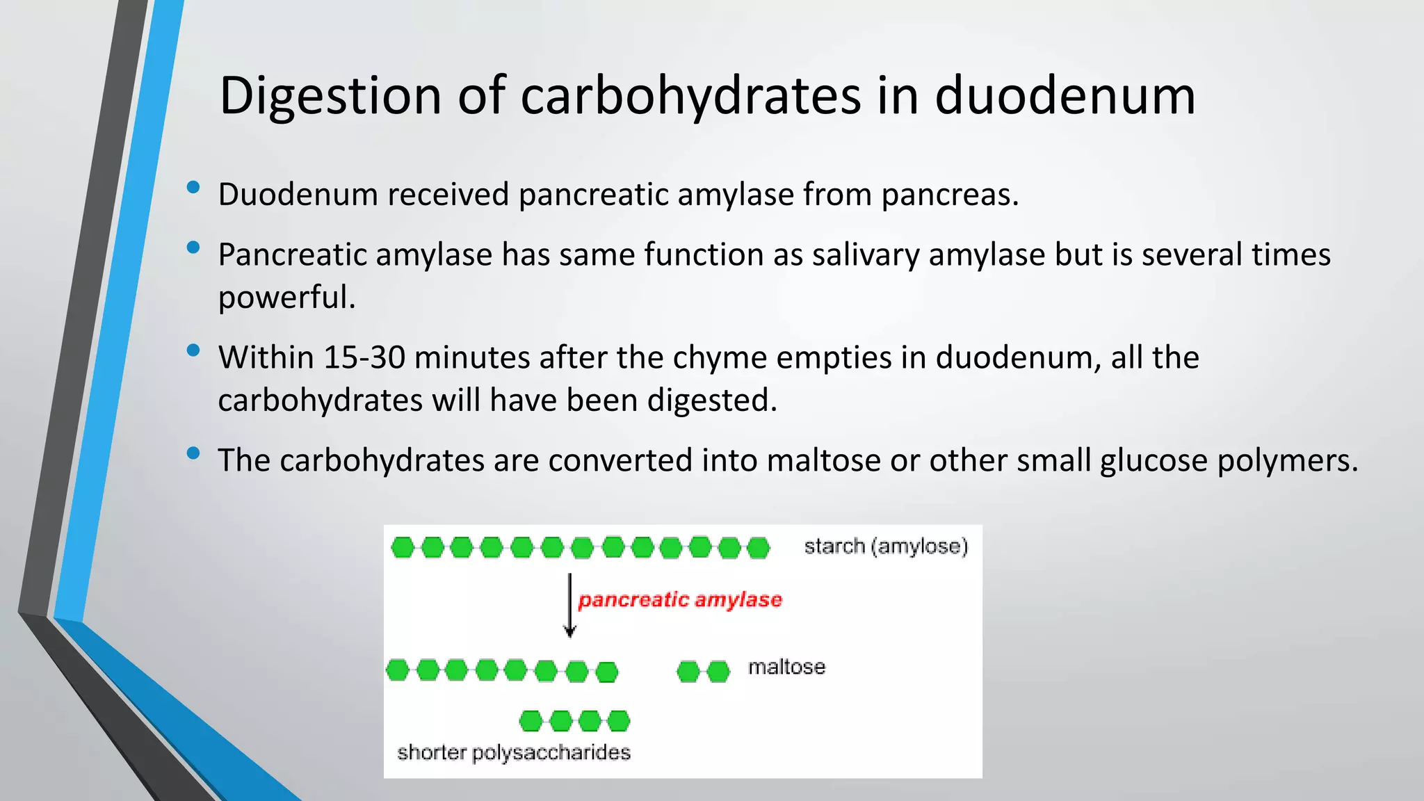 DIGESTION AND ABSORPTION OF CARBOHYDRATES.pptx