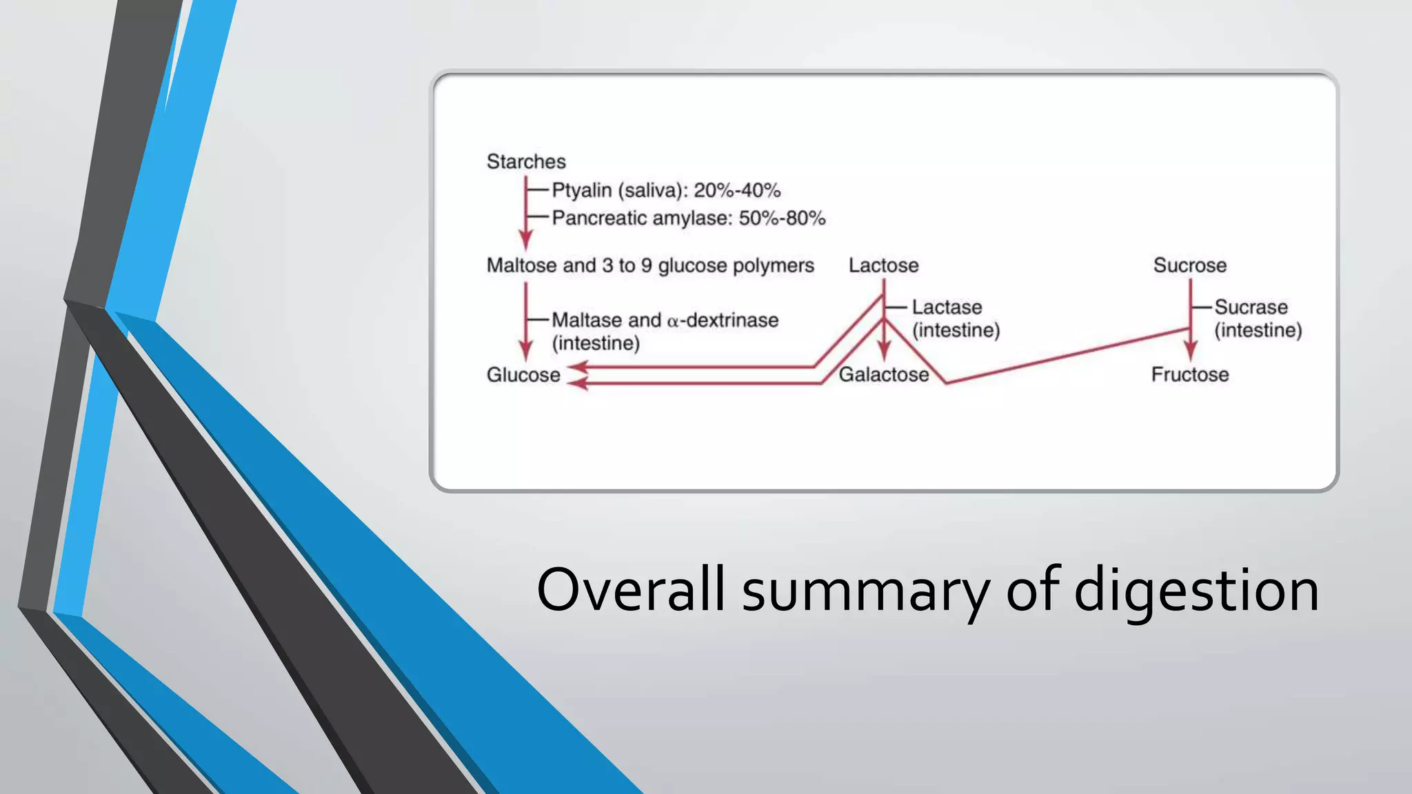 DIGESTION AND ABSORPTION OF CARBOHYDRATES.pptx