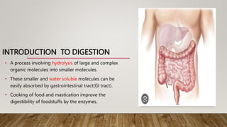 Digestion and absorption of carbohydrates.pptx