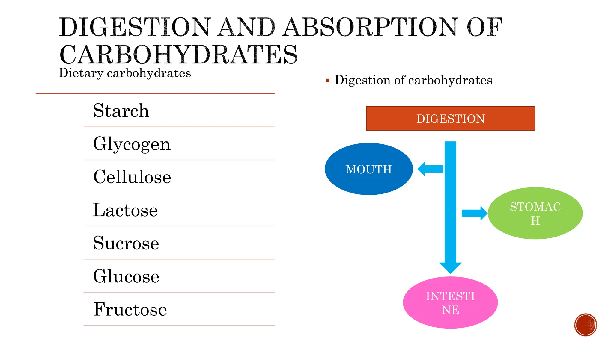 digestion and absorption of carbohydrates.pptx