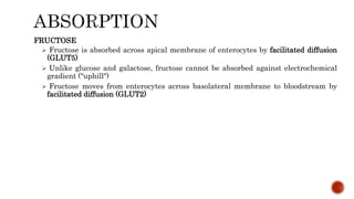 digestion and absorption of carbohydrates.pptx