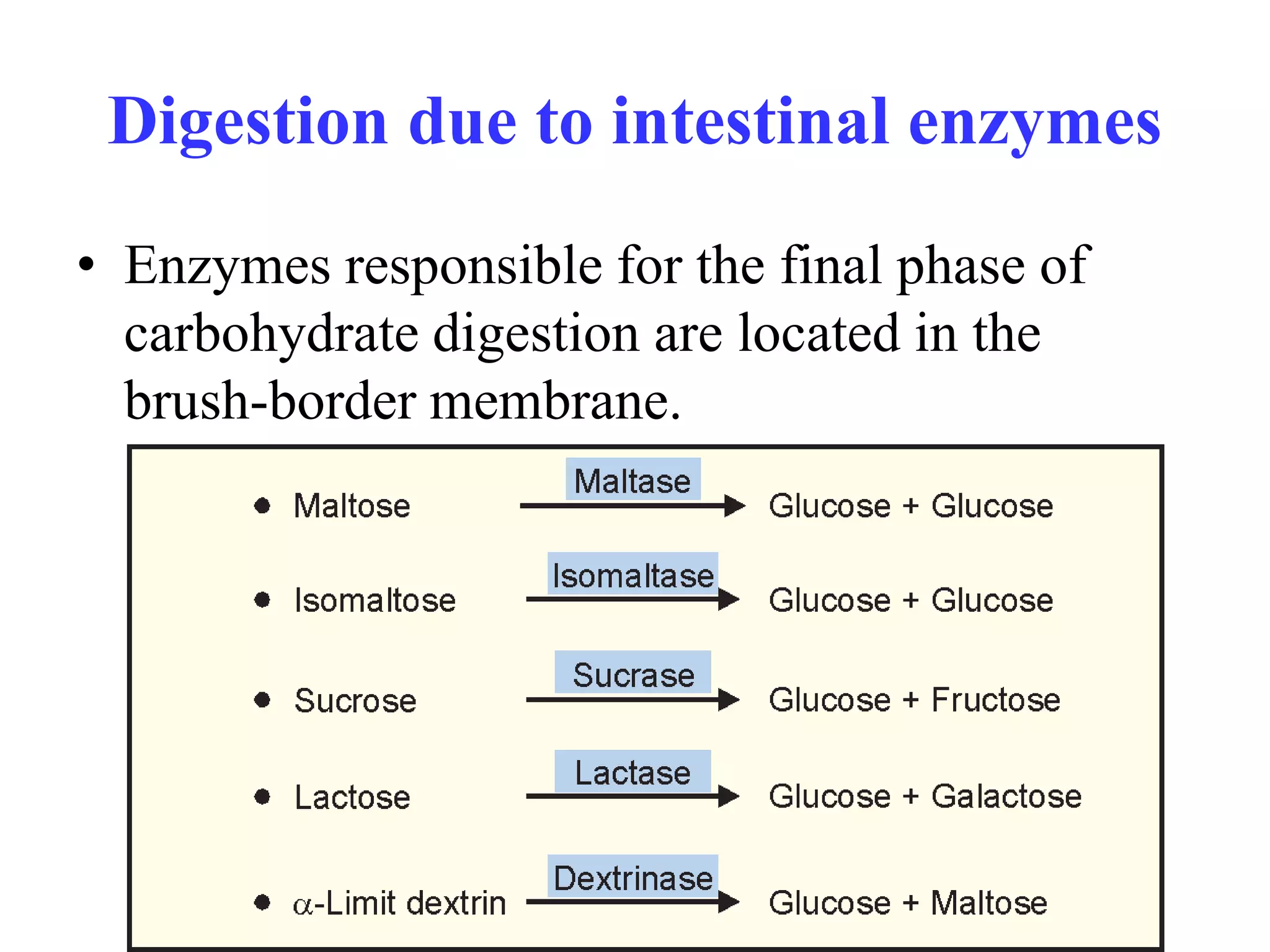 Digestion_and_Absorption_of_Carbohydrates_by_Dr_Pramod-29-11-2018.pdf