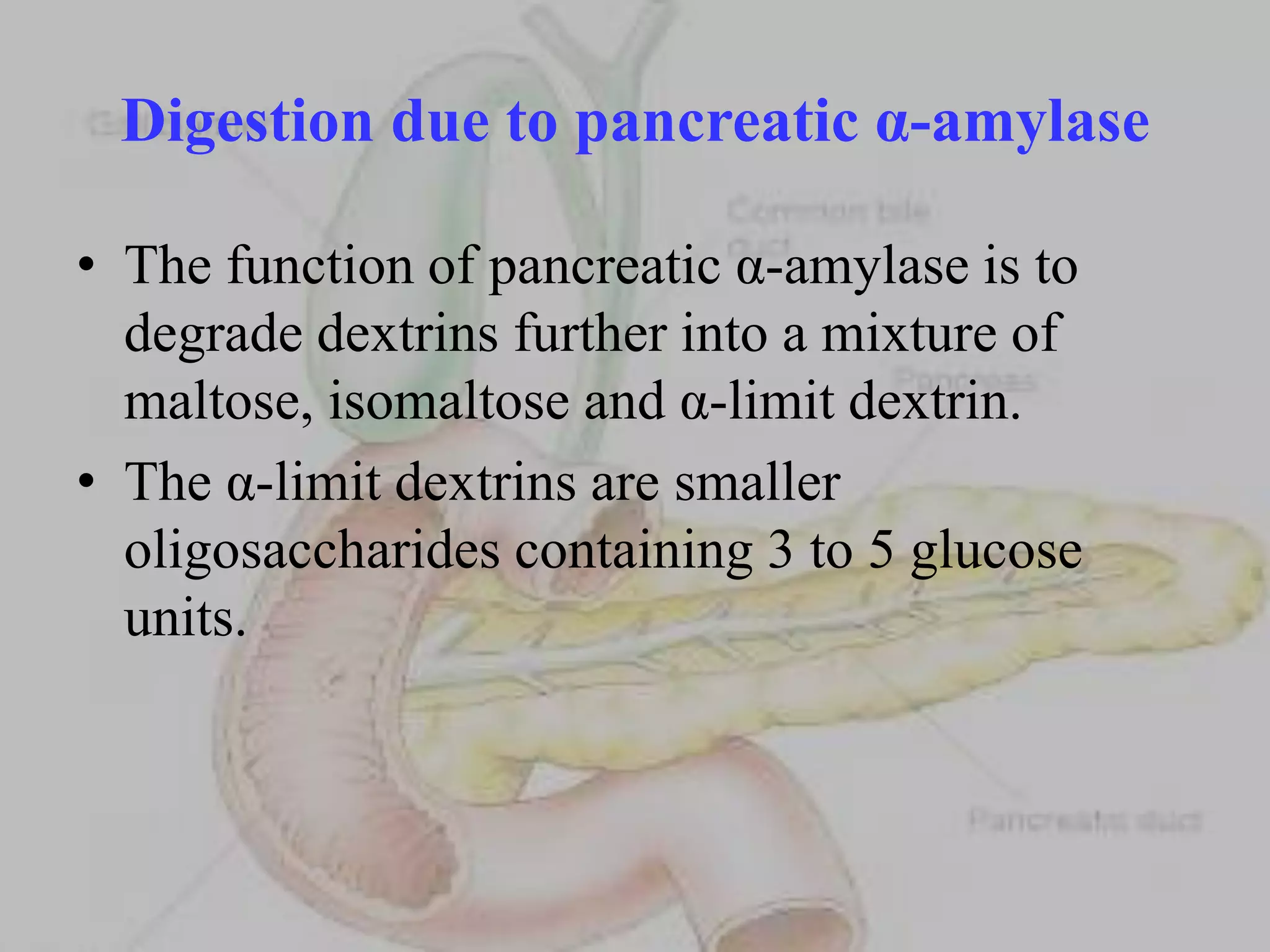 Digestion_and_Absorption_of_Carbohydrates_by_Dr_Pramod-29-11-2018.pdf