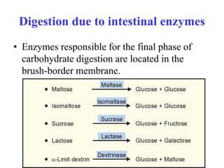 Digestion_and_Absorption_of_Carbohydrates_by_Dr_Pramod-29-11-2018.pdf