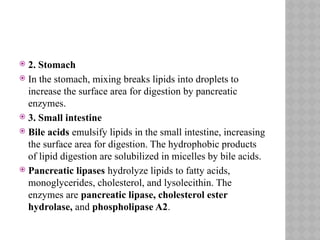 Digestion and Absorption of Carbohydrates, Proteins and.pptx