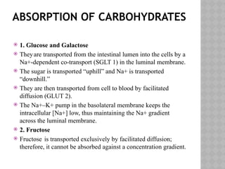 Digestion and Absorption of Carbohydrates, Proteins and.pptx
