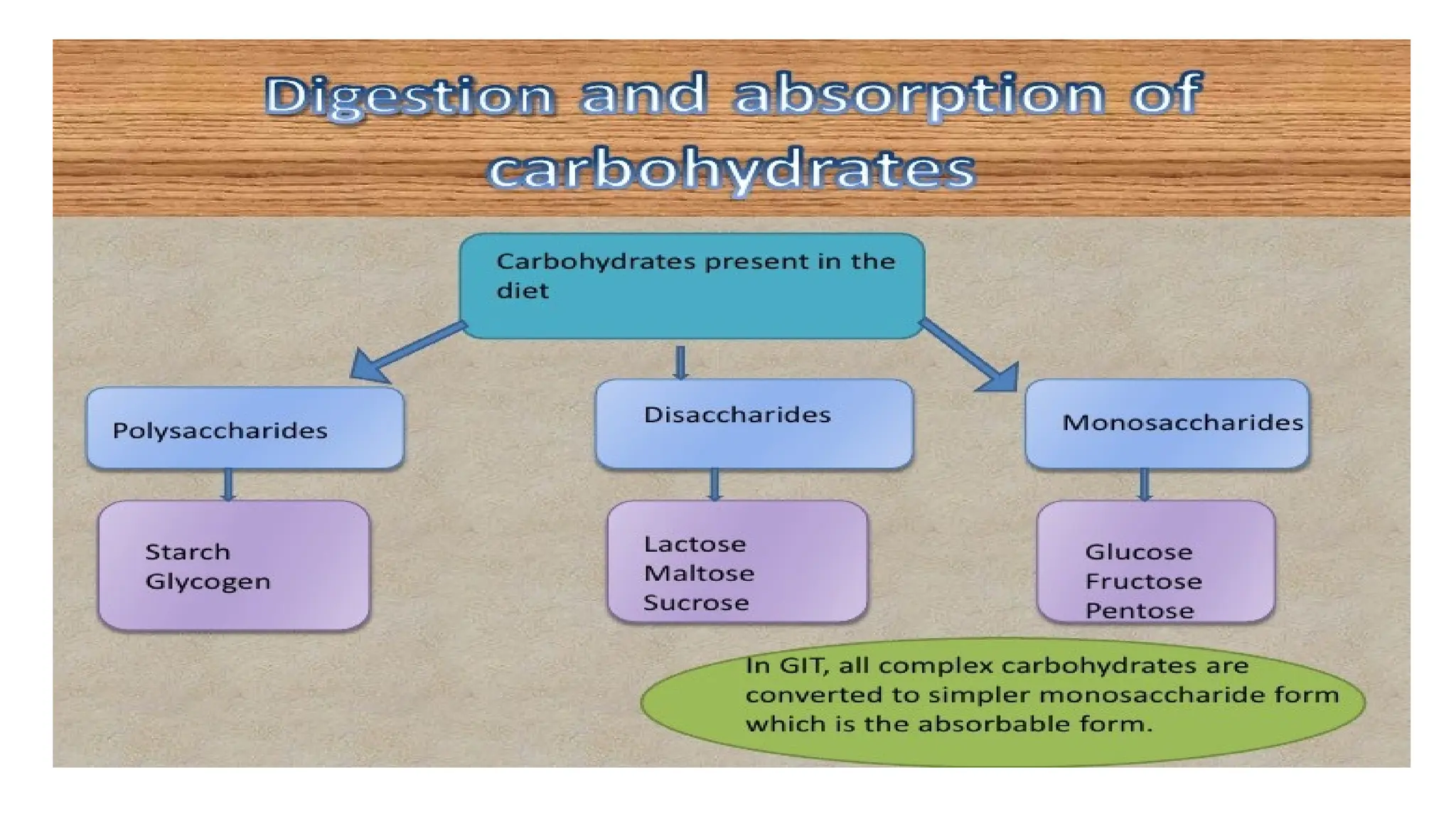 Digestion and Absorption of carbohydrates | PPT